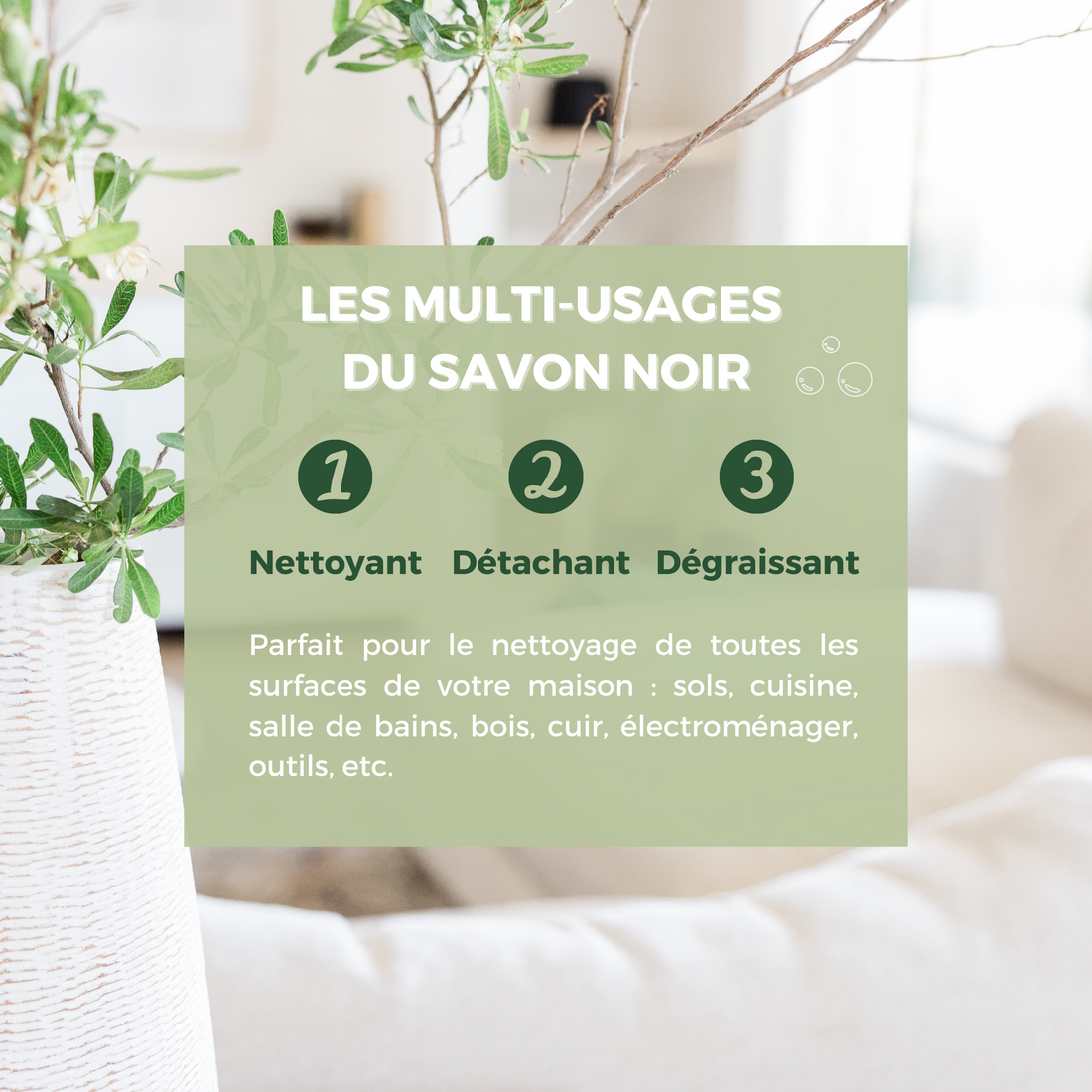 Comment Utiliser le Savon Noir comme Insecticide ? - Rampal Latour